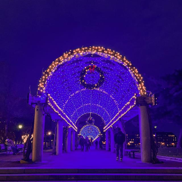 Holiday Lights in Boston | Boston Yacht Haven